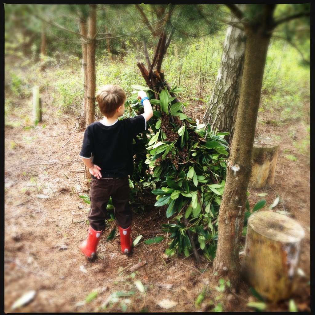 The Mighty Eagle » Quick and fun den making in the woods